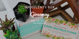 Bring the Outdoors In With Succulents Box + Giveaway - LimByLim